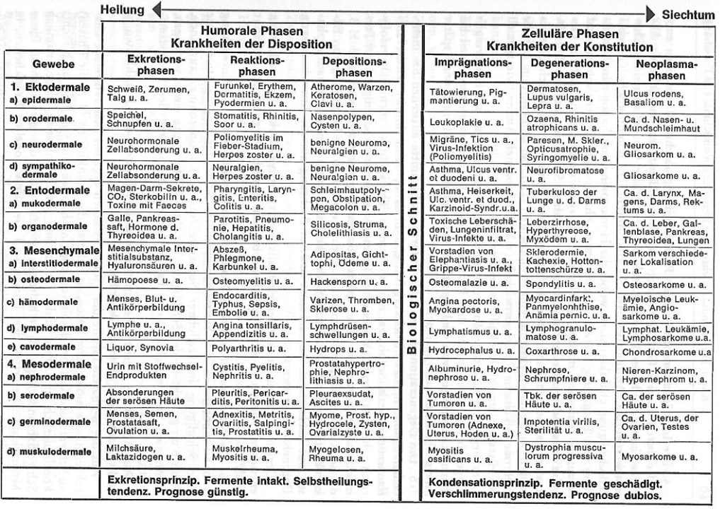 Konzept – bewußt gesund leben